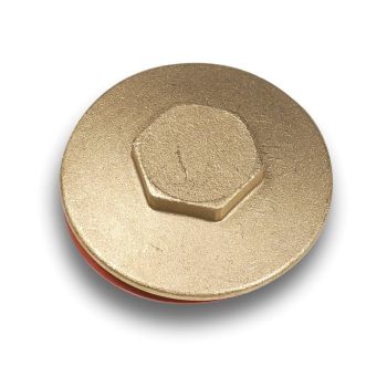 2 1/4" Immersion Plug – Clevedon DIY